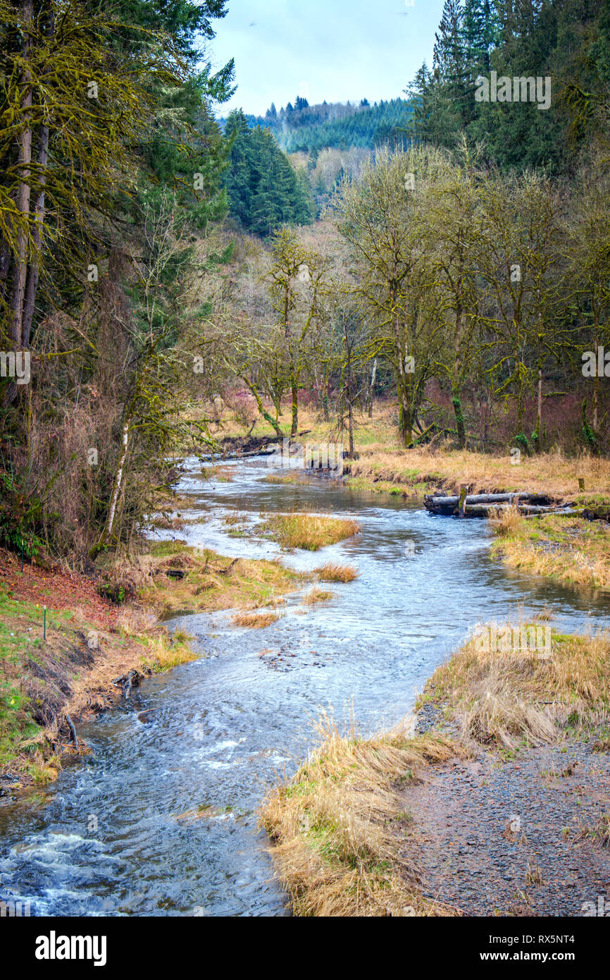 Fresh River water Stock Photo - Alamy