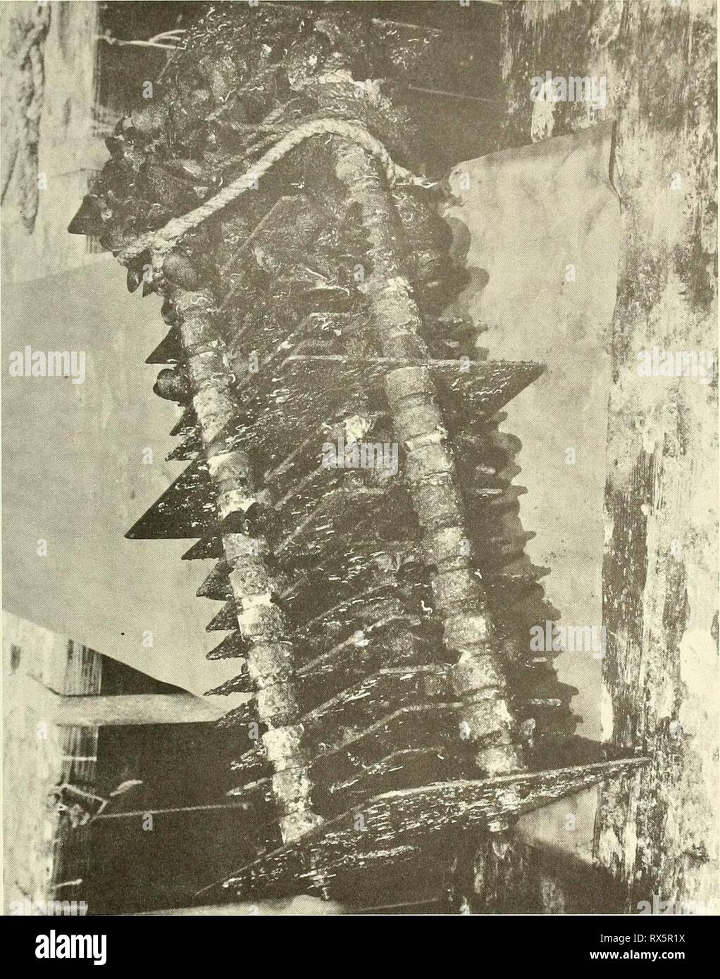 Effect of bottom sediment containing Effect of bottom sediment ...