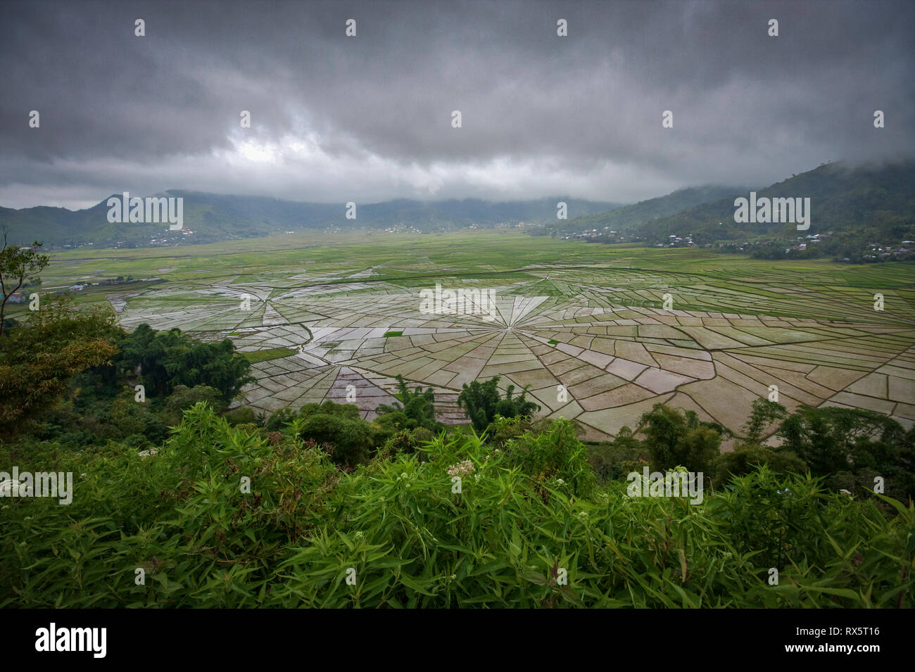 Spider Web Rice Fields seen from the Cancar village, west of Ruteng on ...