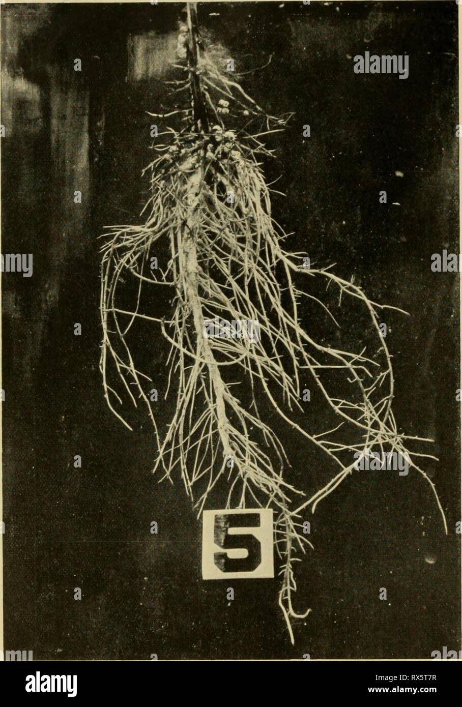 Effect of different reactions on Stock Photo - Alamy