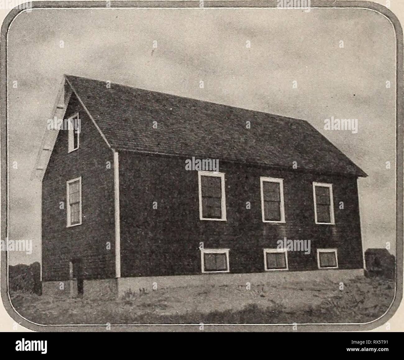 Eggs and egg farms Stock Photo - Alamy