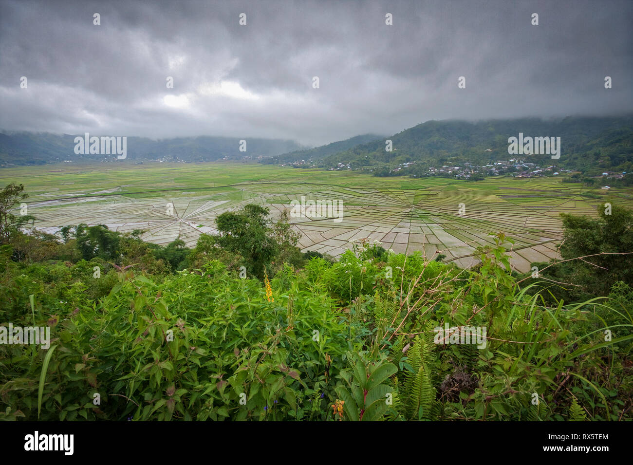 Spider Web Rice Fields seen from the Cancar village, west of Ruteng on ...