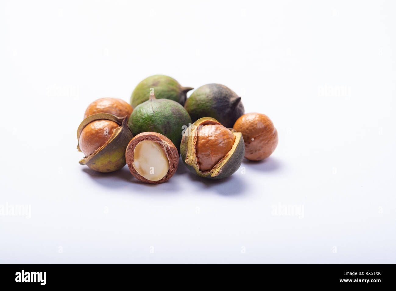 Fresh harvest of macadamia nuts, green macadamia nuts in shell and ...