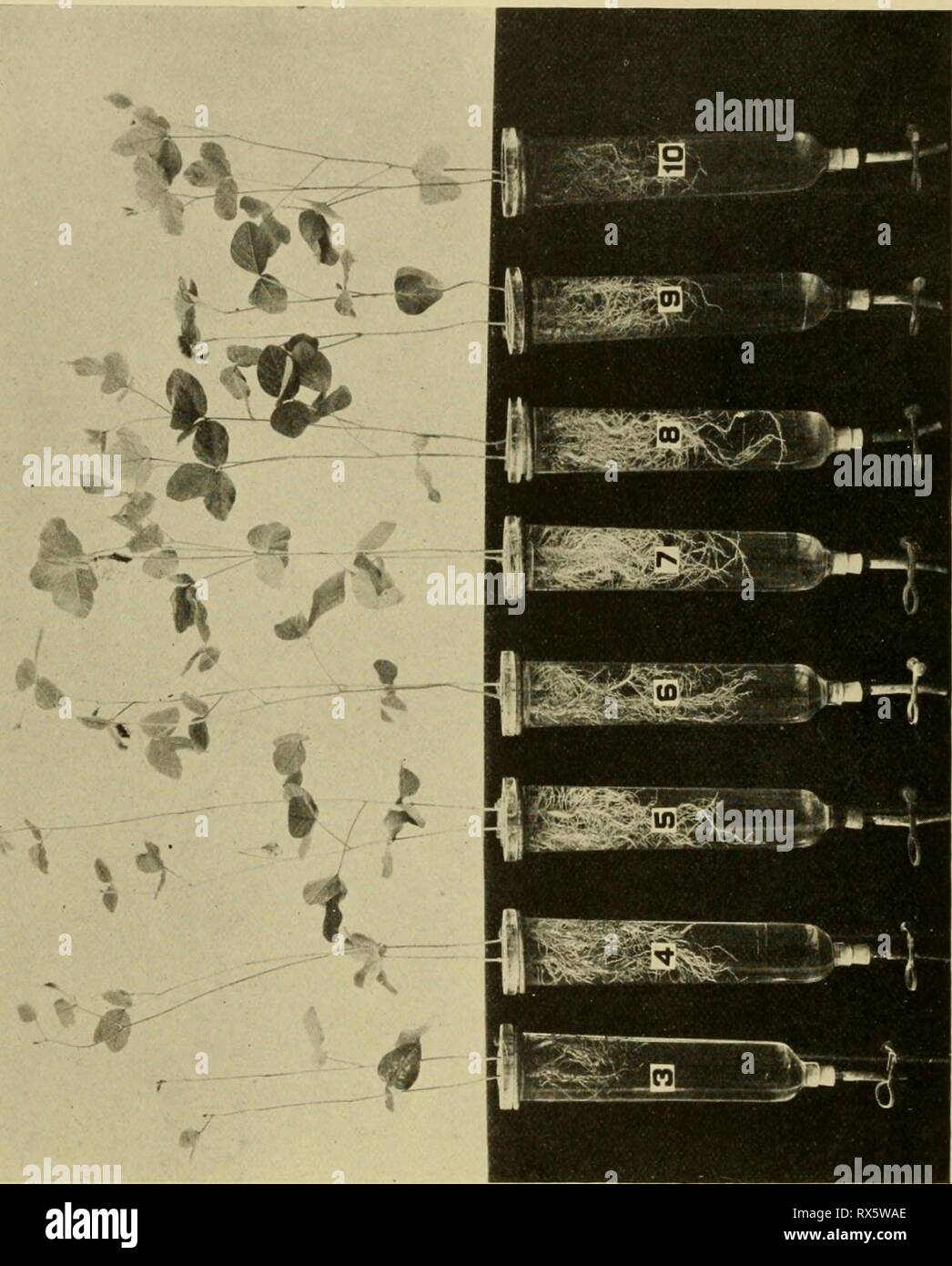 Effect of different reactions on Stock Photo - Alamy