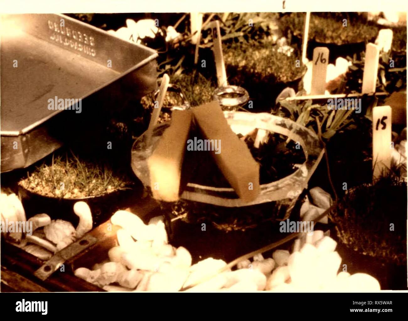 Effects of soil temperature gradient Stock Photo - Alamy