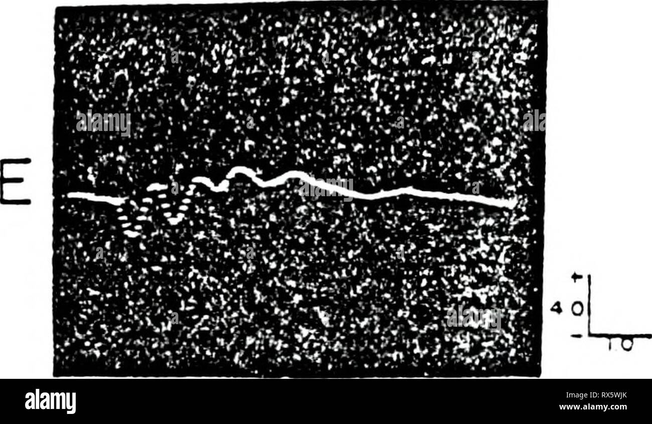 Effects of intense acoustic noise Stock Photo - Alamy