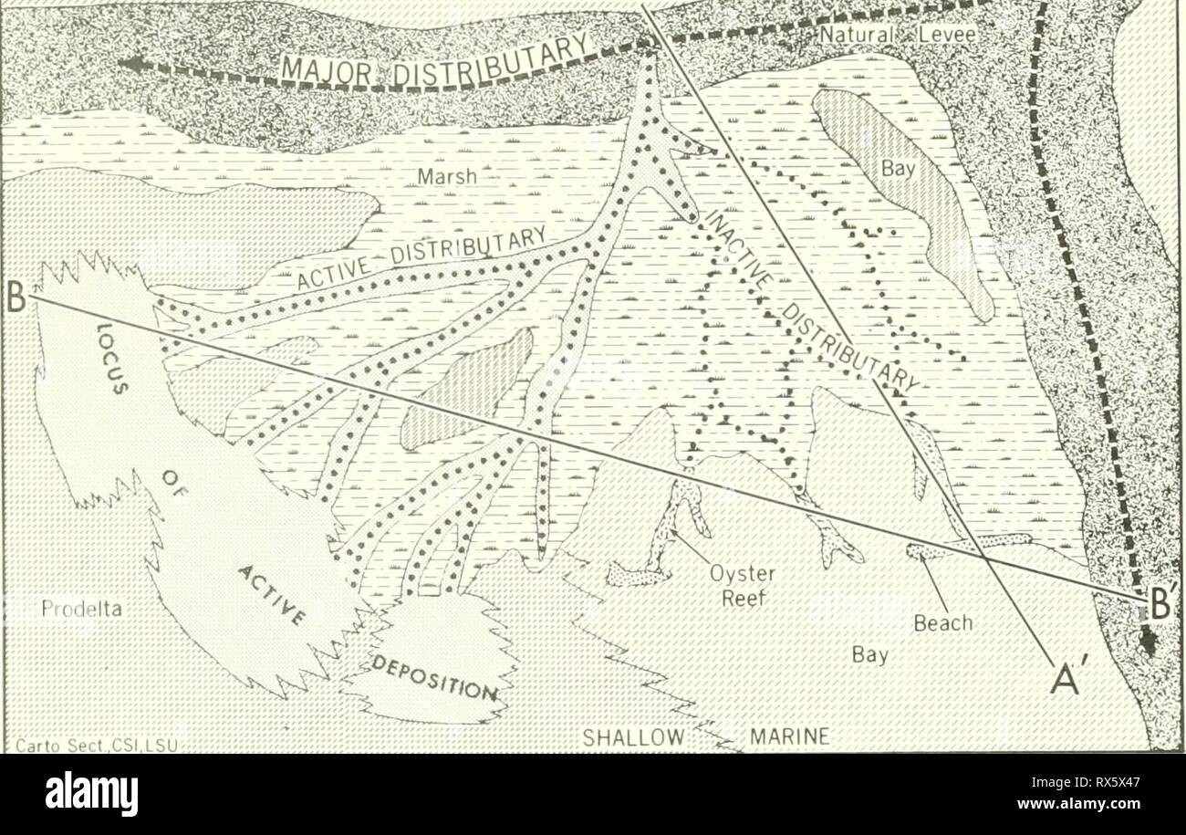 The ecology of delta marshes Stock Photo - Alamy