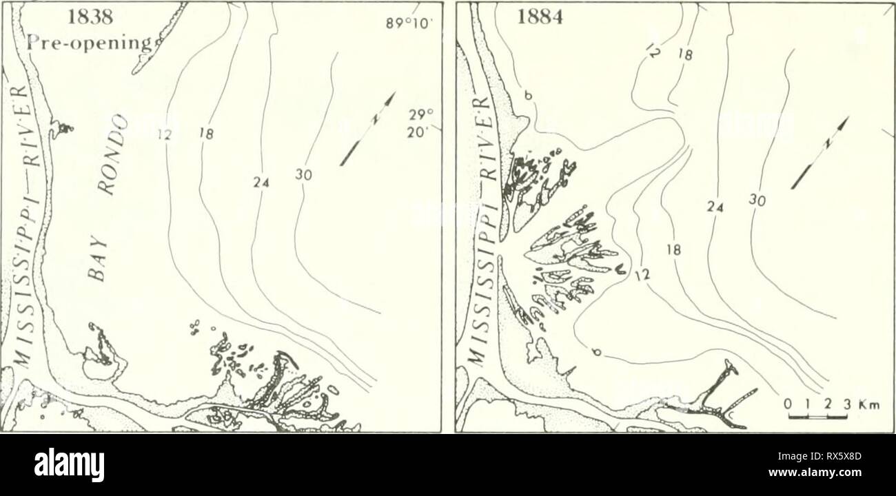 The ecology of delta marshes Stock Photo - Alamy