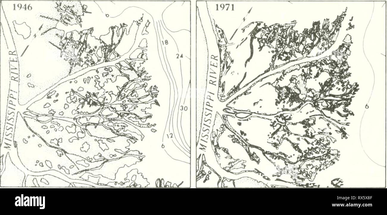 The ecology of delta marshes Stock Photo - Alamy