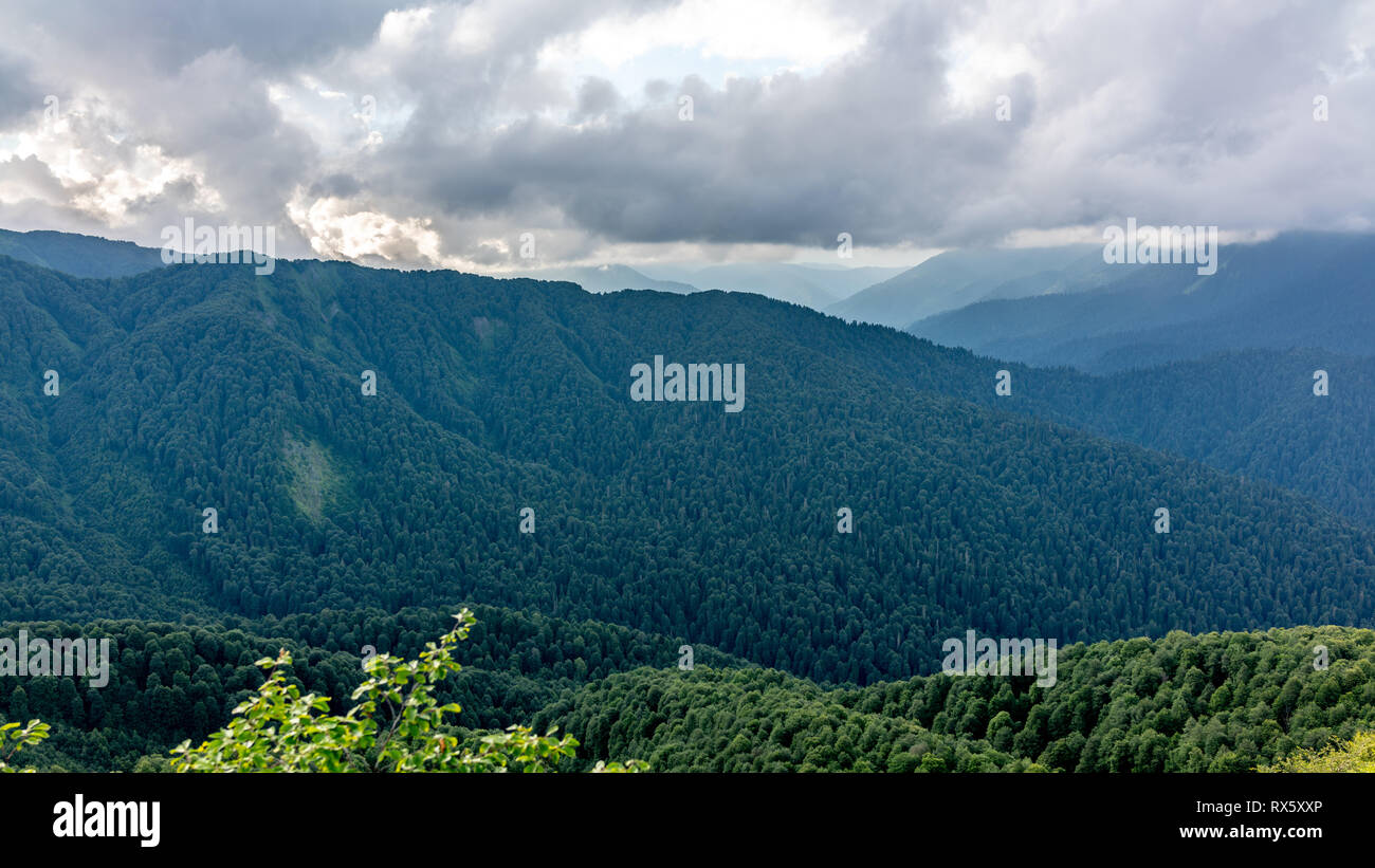 Mountain Ridge covered with forests in dense clouds. The main Caucasian ...