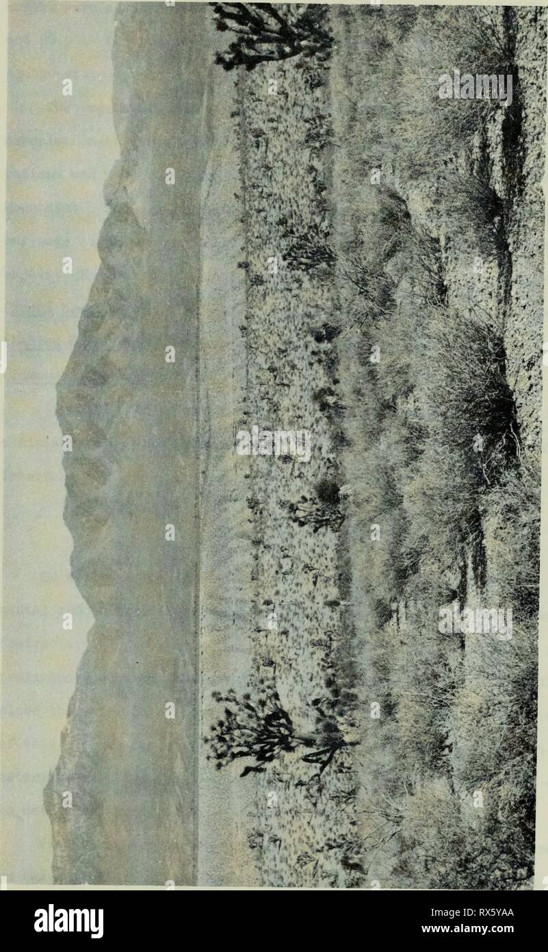 The effects of water development Stock Photo - Alamy