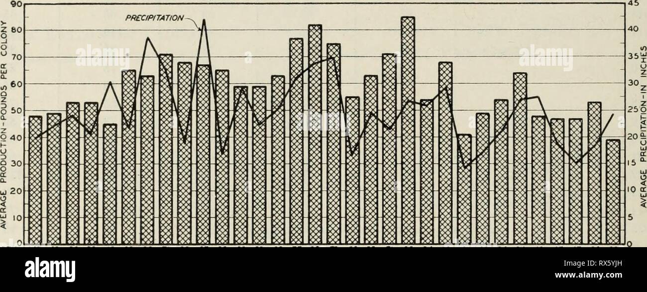 Economic aspects of the bee Stock Photo - Alamy