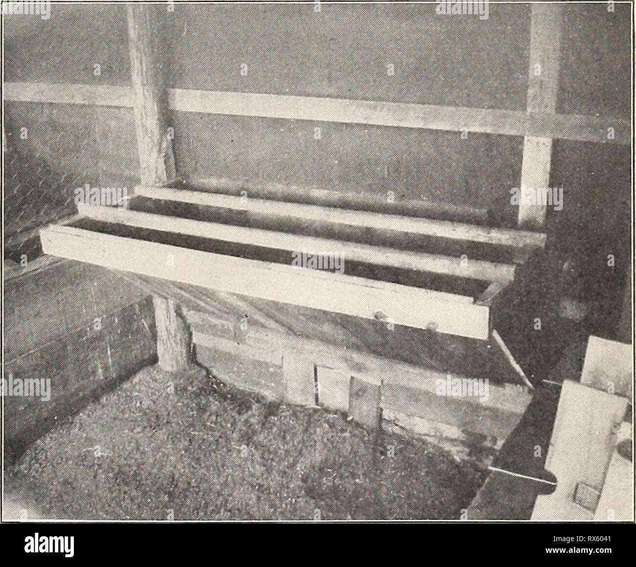 Eggs and egg farms Stock Photo - Alamy