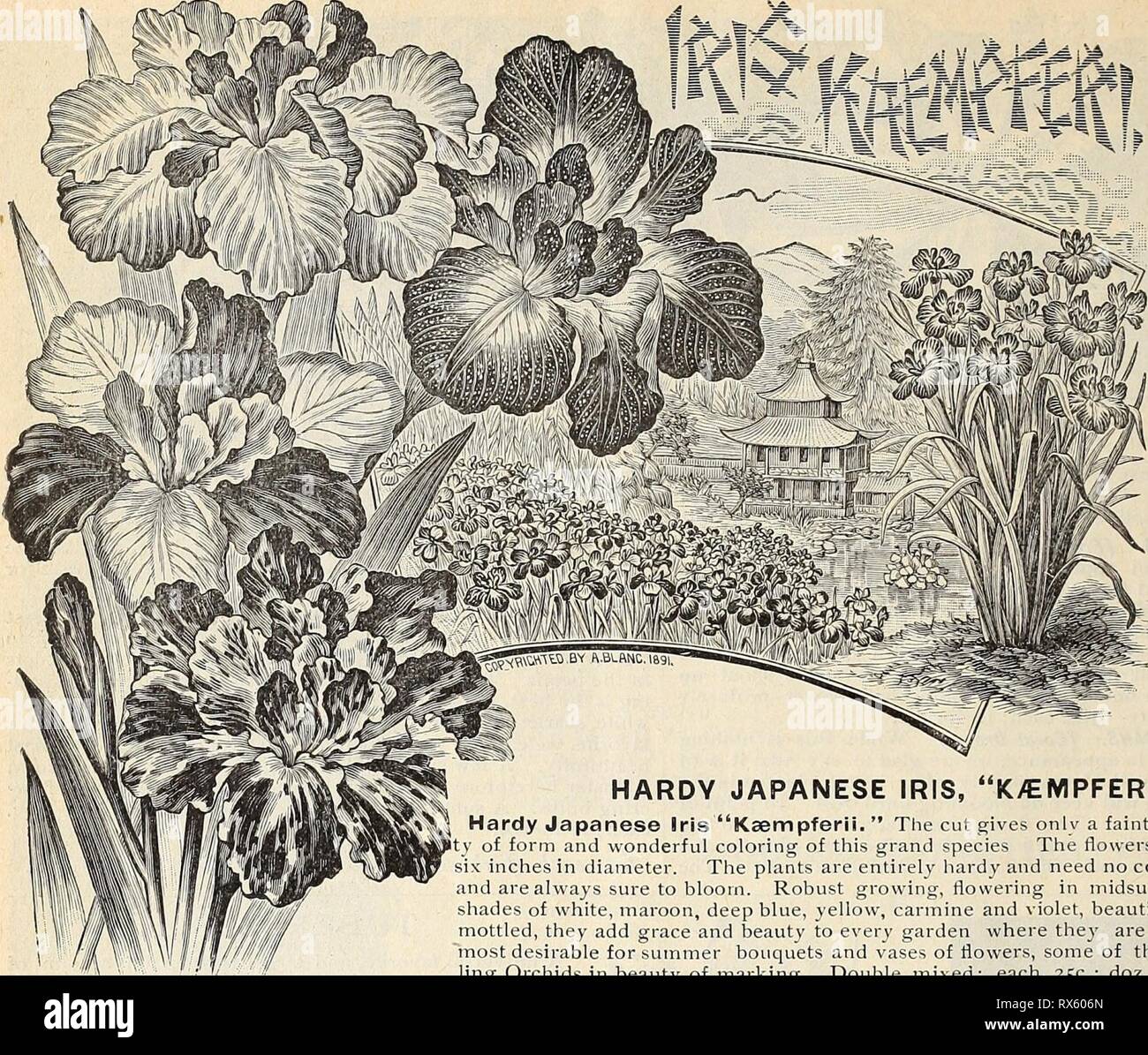 50 shades of g hi-res stock photography and images - Alamy