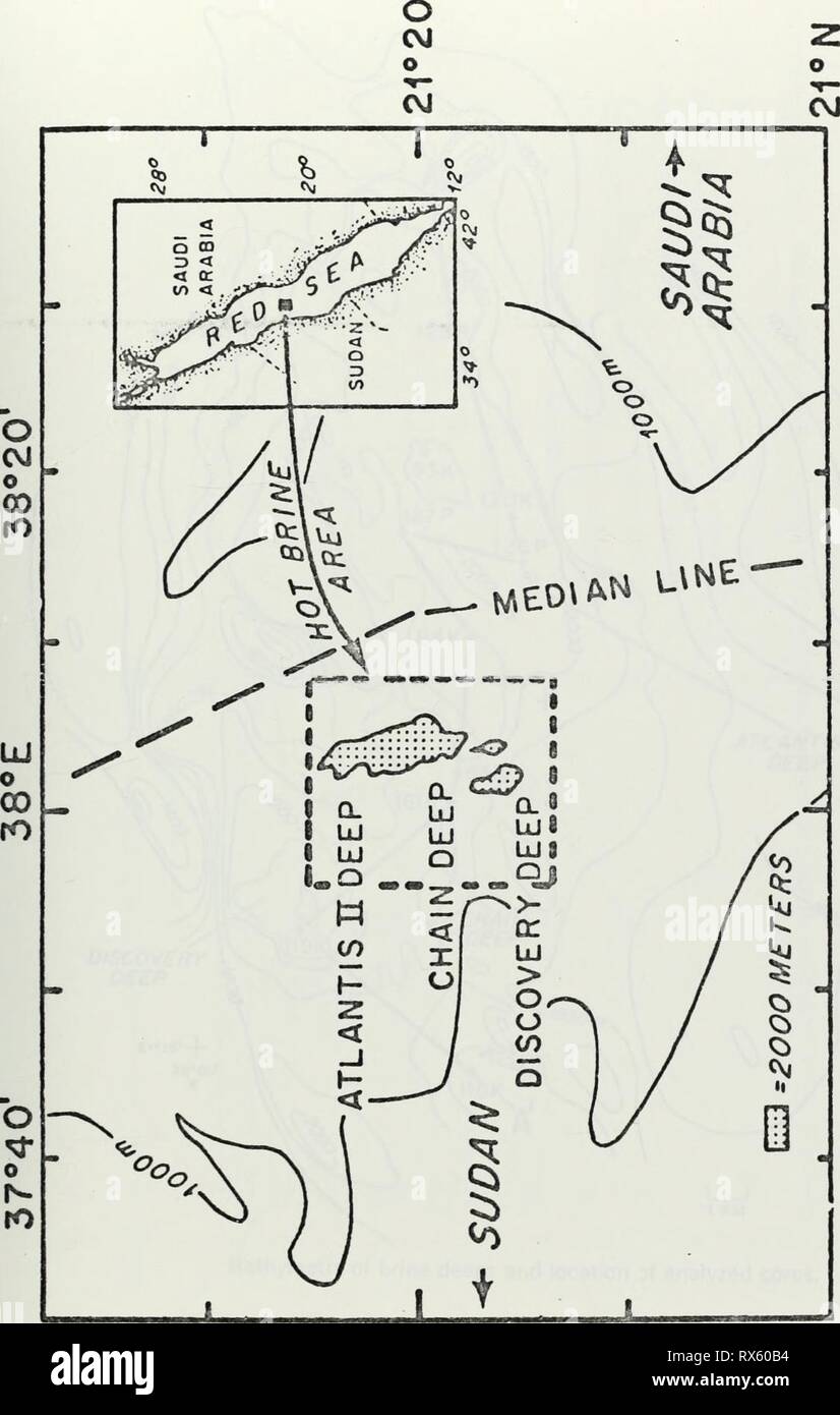 Economic effects of deep ocean Economic effects of deep ocean minerals ...