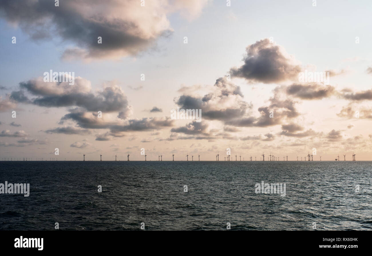 Pictured are wind farms at sea in the North Sea Stock Photo - Alamy