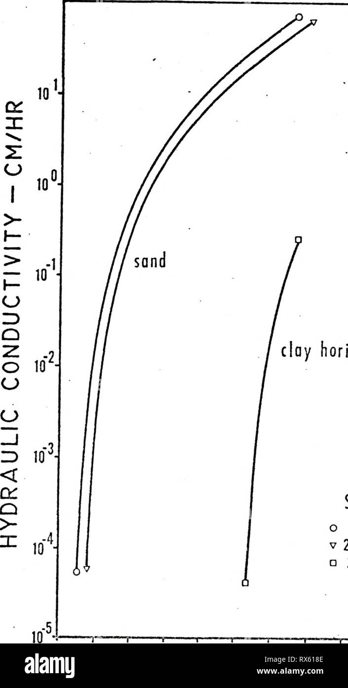 Effect of depth of rooting Stock Photo - Alamy