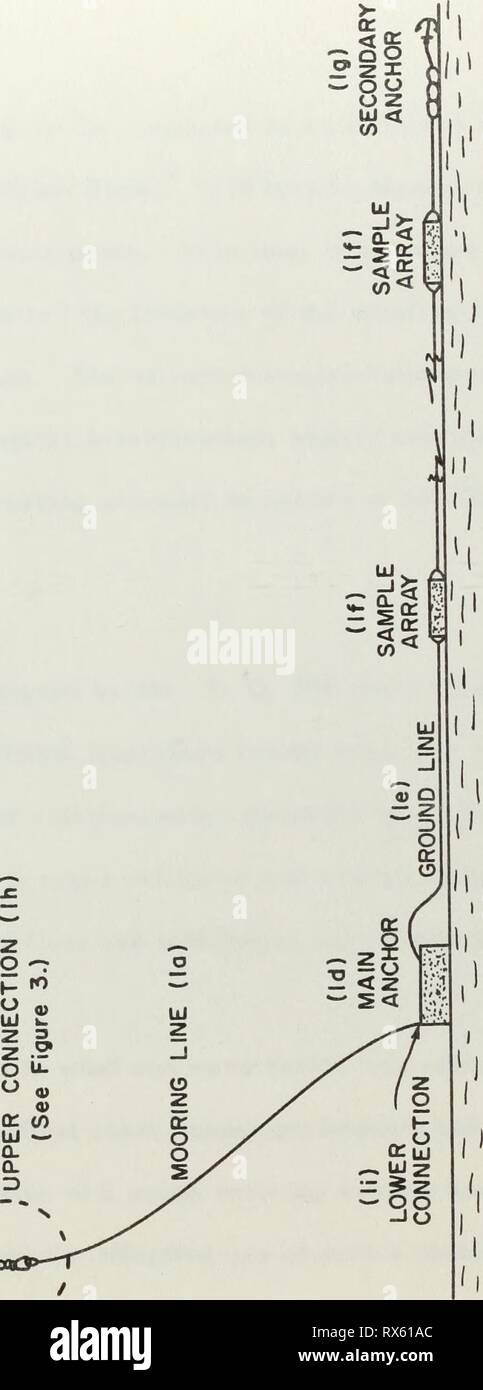 Ecological aspects of two wood-boring Ecological aspects of two wood ...