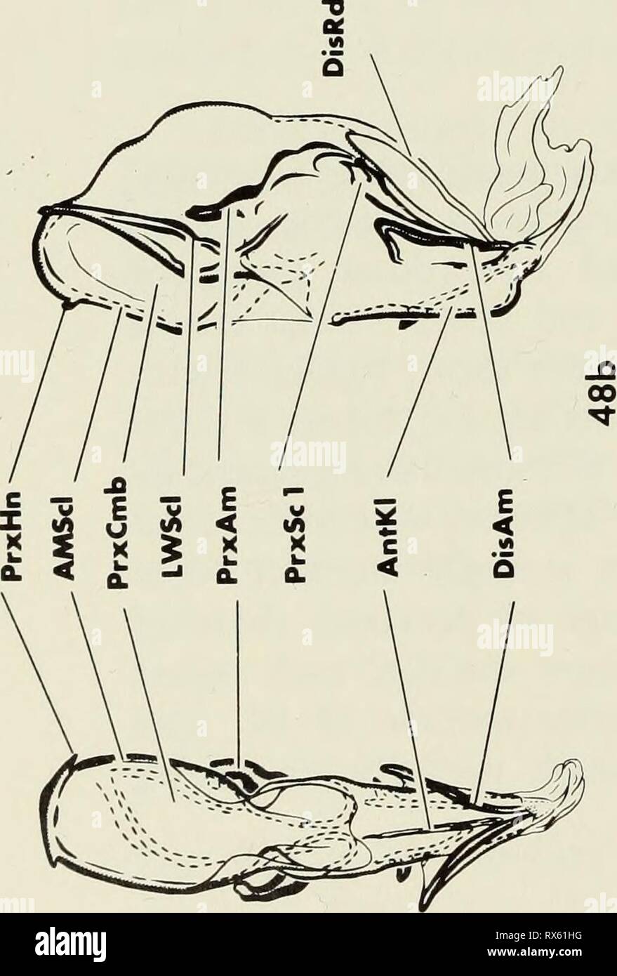 1972 00 00 hi-res stock photography and images - Alamy