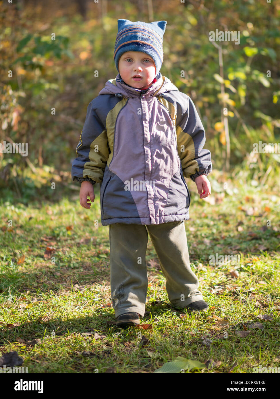Boy 4 5 standing in forest hi-res stock photography and images - Alamy