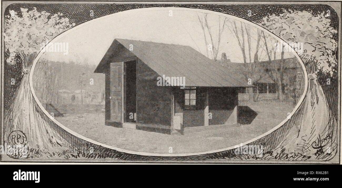 Eggs and egg farms Stock Photo - Alamy