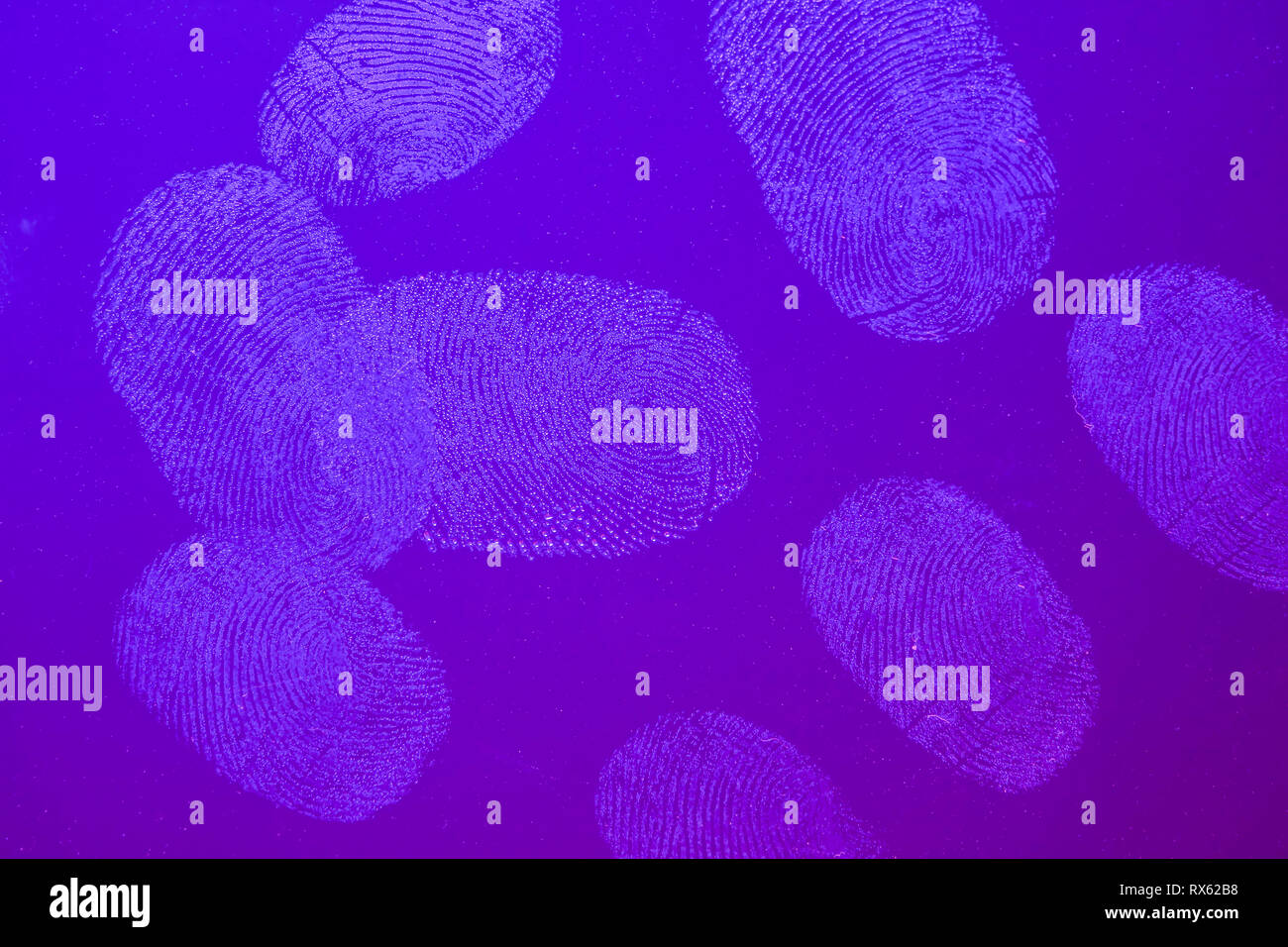 Human finger print evidence identity hi-res stock photography and ...