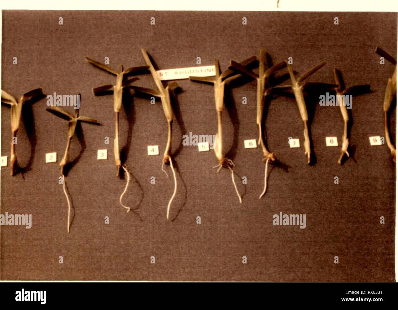 Effects of soil temperature gradient Stock Photo - Alamy