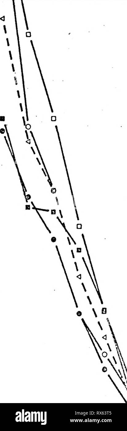 Effect of depth of rooting Stock Photo - Alamy