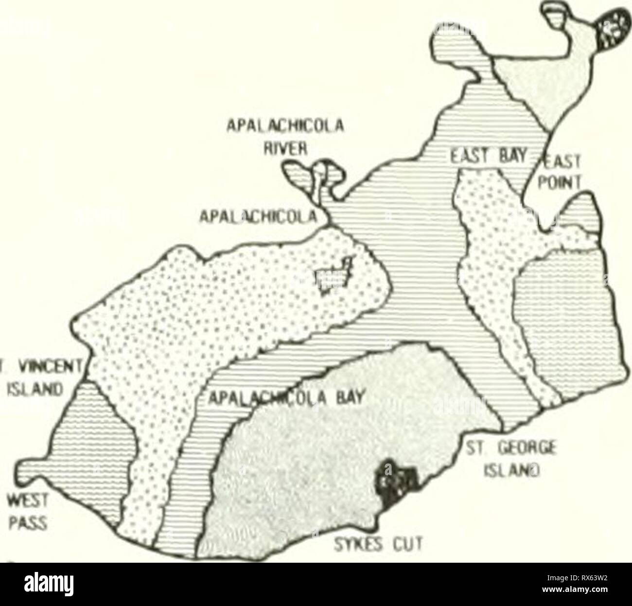 The ecology of the Apalachicola Stock Photo - Alamy