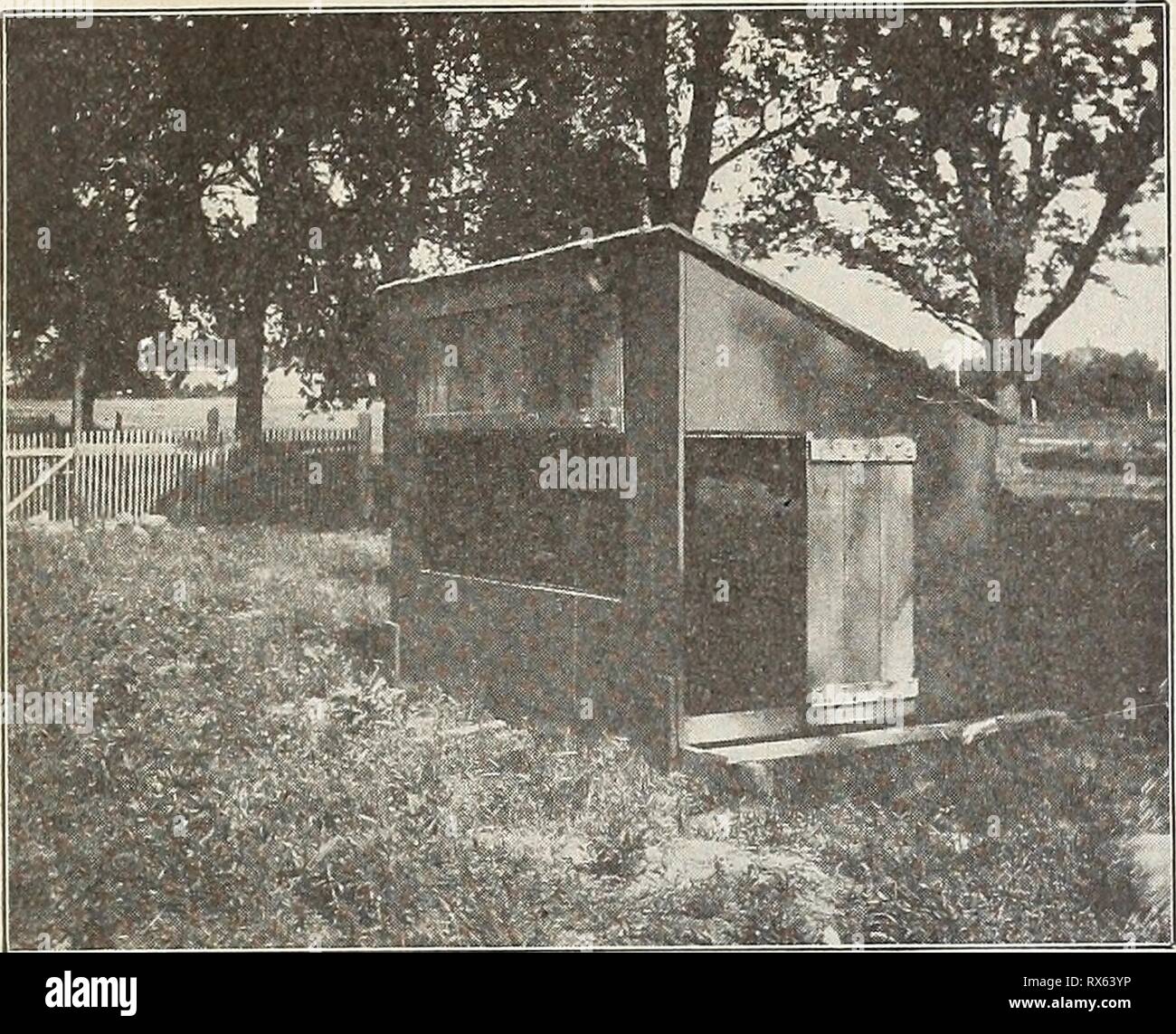 Eggs and egg farms Stock Photo - Alamy