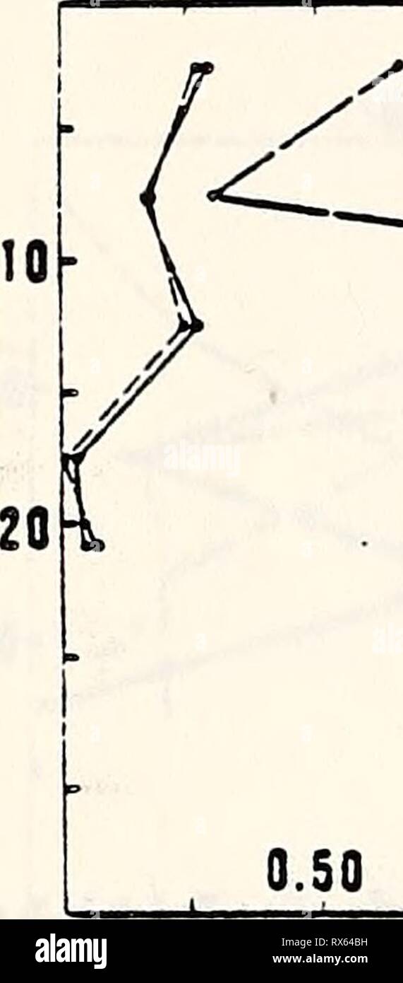 Ecological study of the Amoco Stock Photo - Alamy