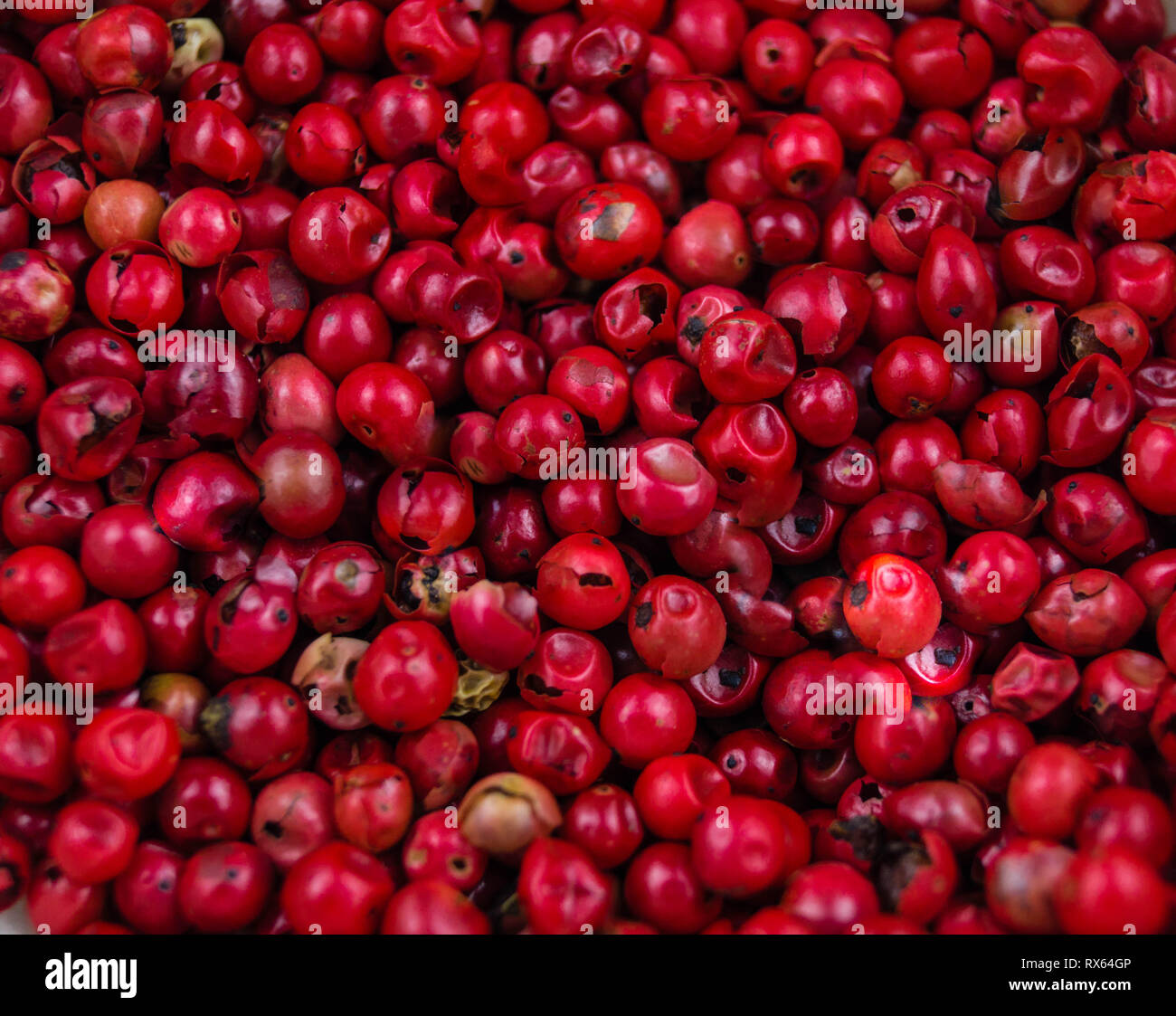 Red Pepper from the brazilian Schinus Terebinthifolia Tree Stock Photo ...