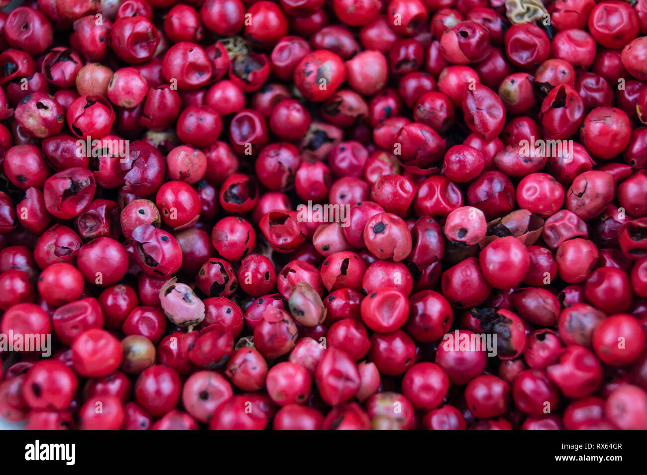 Red Pepper from the brazilian Schinus Terebinthifolia Tree Stock Photo ...