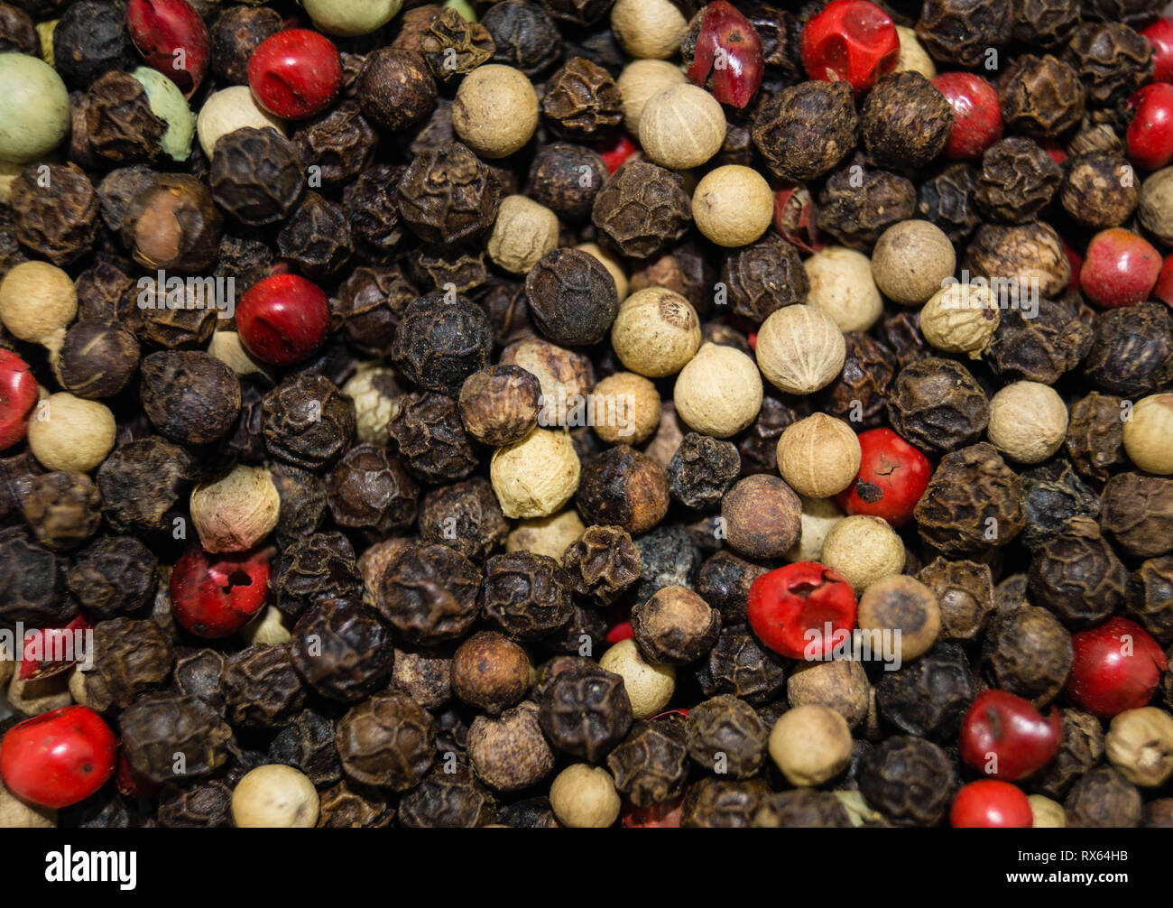 Red Pepper from the brazilian Schinus Terebinthifolia Tree Stock Photo ...