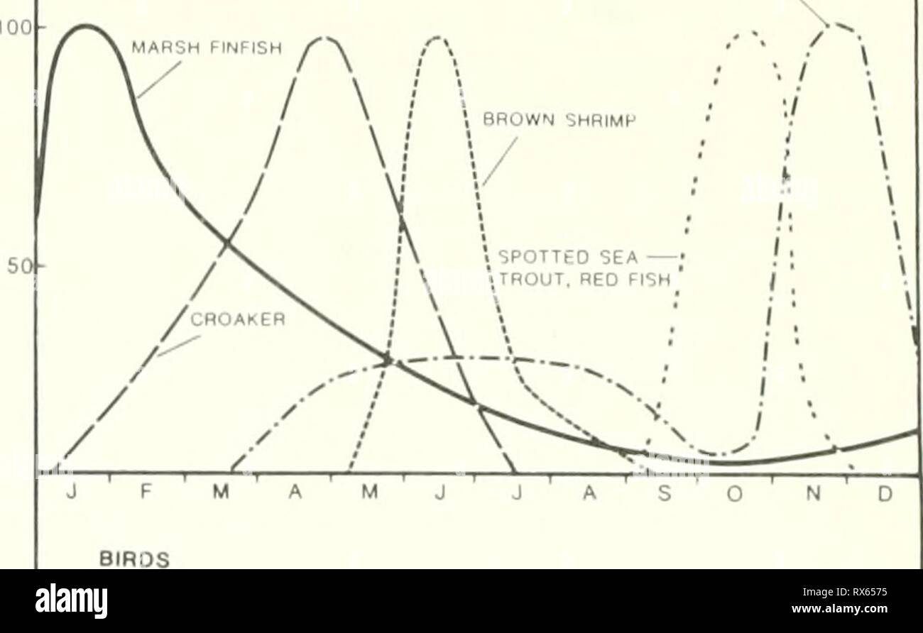The ecology of delta marshes Stock Photo - Alamy