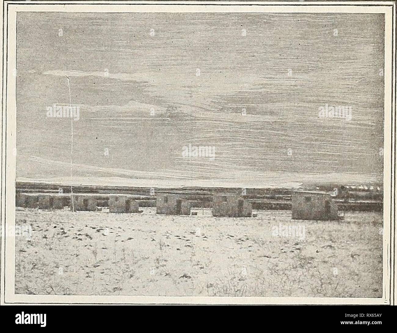 Eggs and egg farms Stock Photo - Alamy