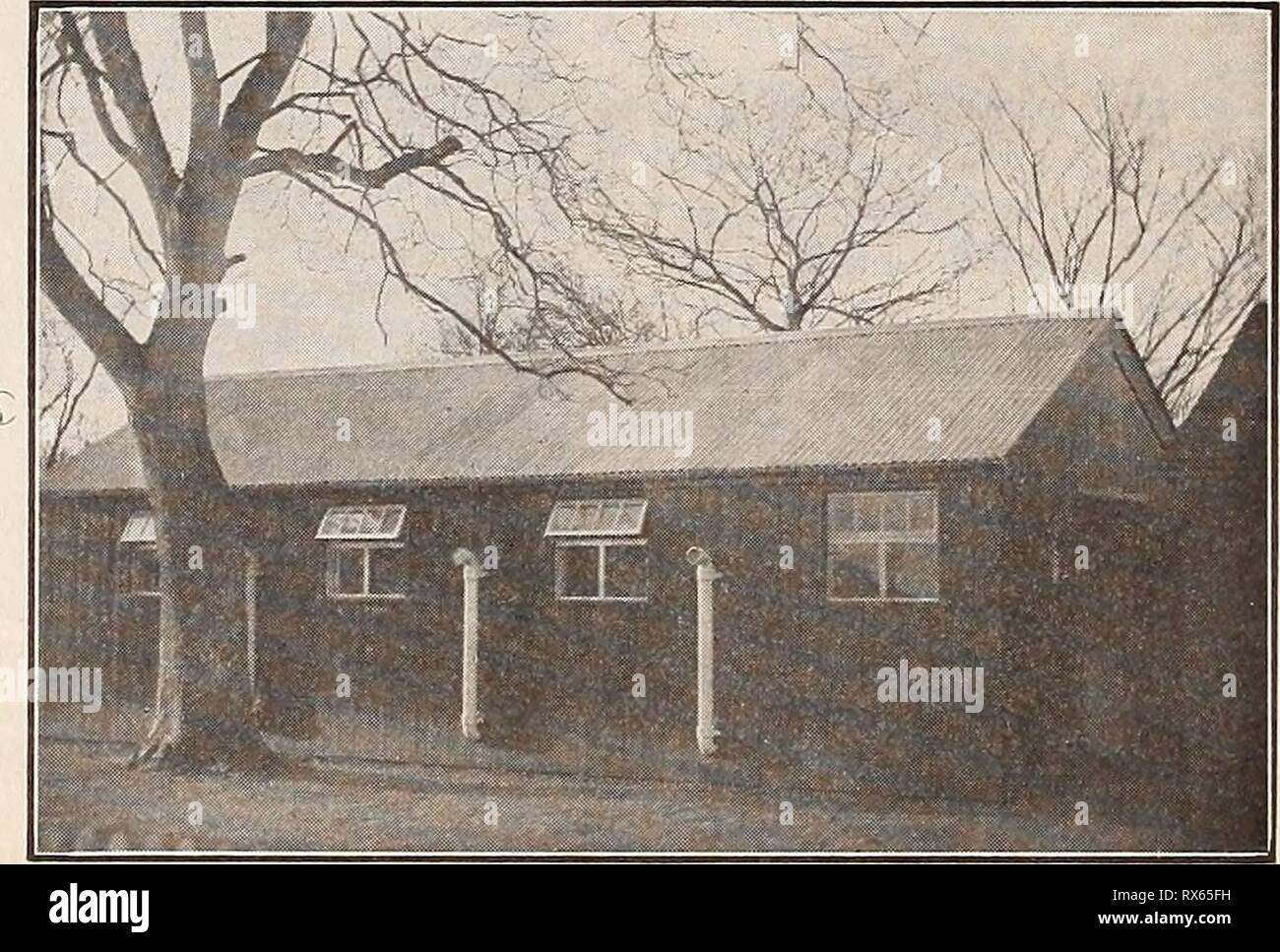 Eggs and egg farms Stock Photo - Alamy