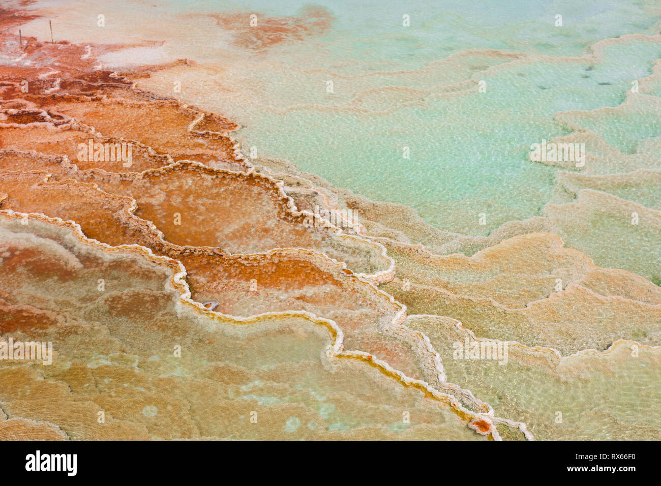 Colored water by mineral deposits at Mammoth Hot Springs Stock Photo ...