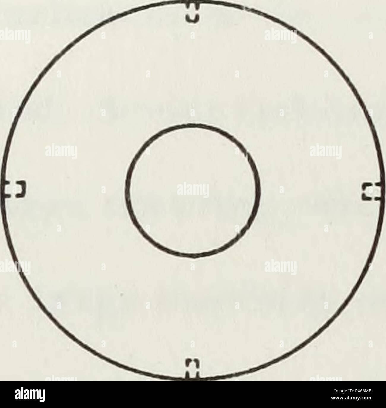 Ecological aspects of two wood-boring Ecological aspects of two wood ...