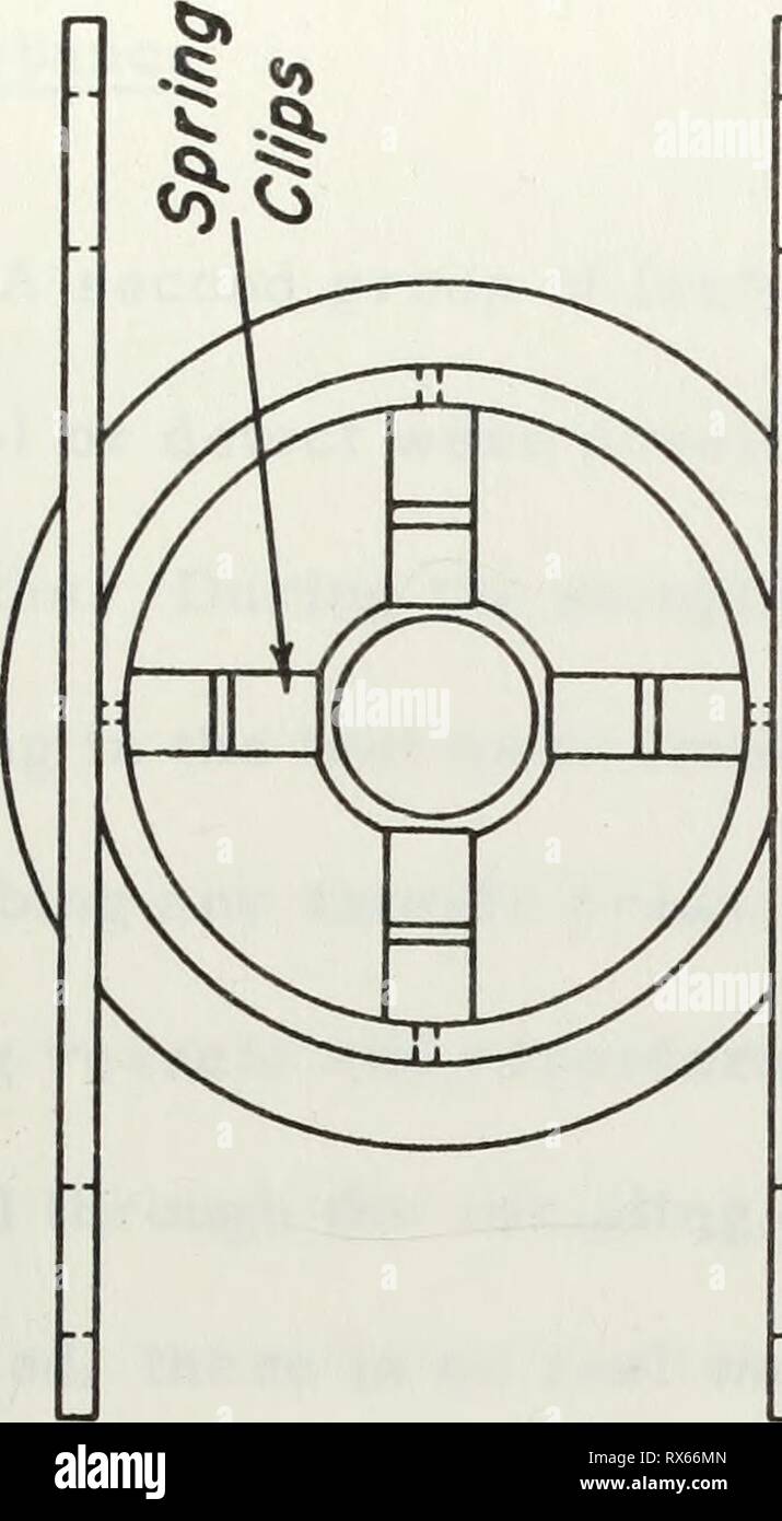 Ecological aspects of two wood-boring Ecological aspects of two wood ...