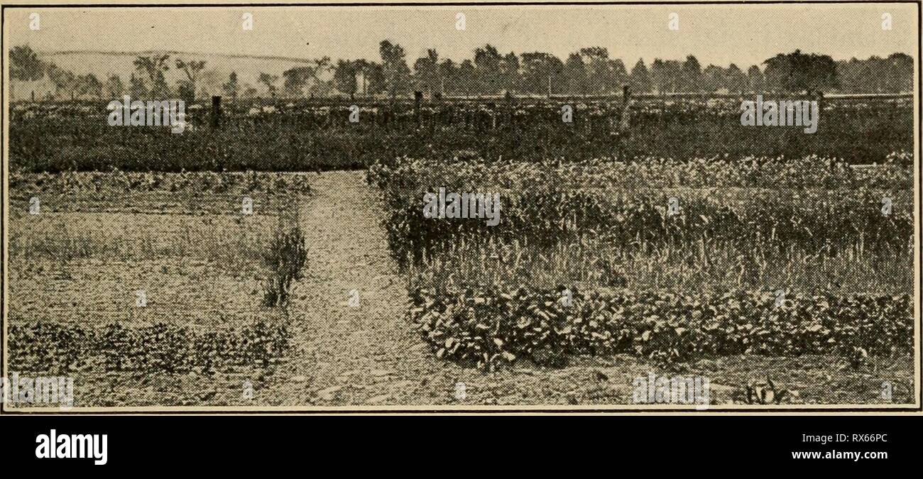 Effective farming; a text-book for Stock Photo - Alamy