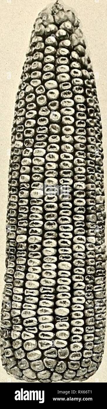 The effects of inbreeding and The effects of inbreeding and ...