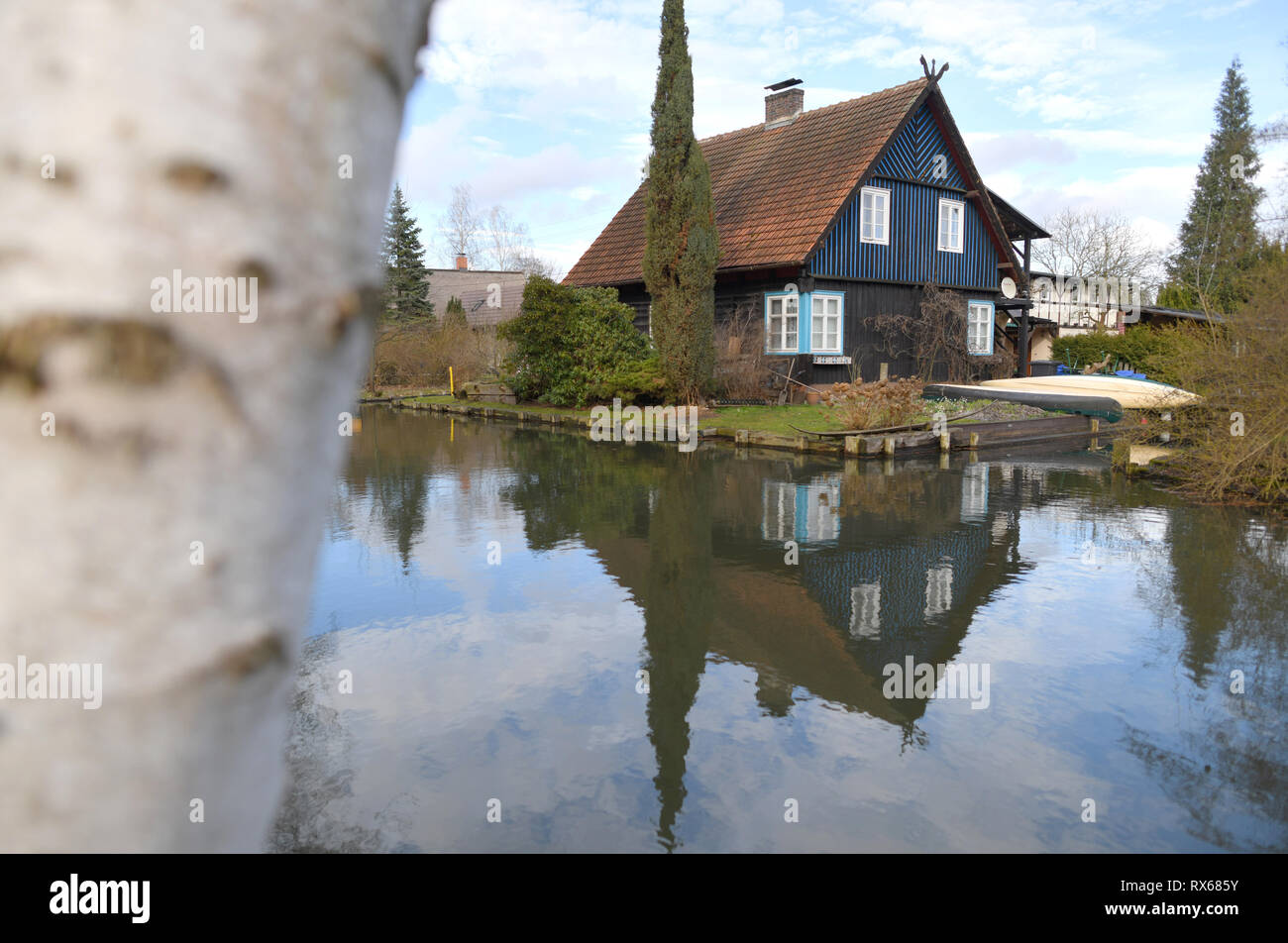 Lehde, Germany. 08th Mar, 2019. A traditional wooden house in the ...