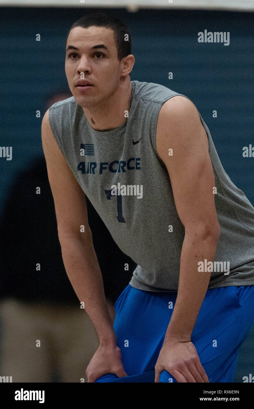 Robin hale hi-res stock photography and images - Alamy