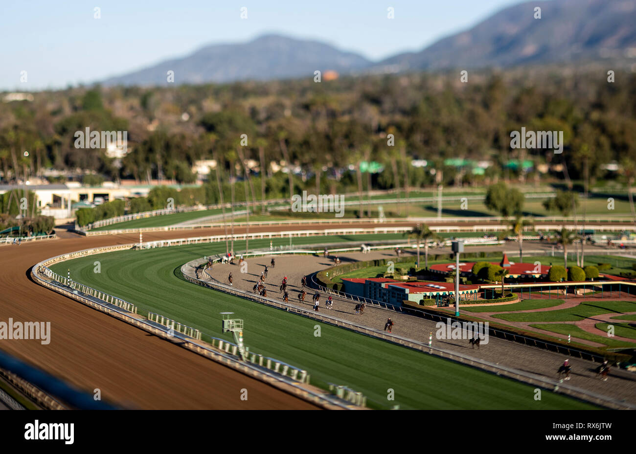 Arcadia, Ca, USA. 9th Mar, 2019. March 08, 2019: Horses train on the ...