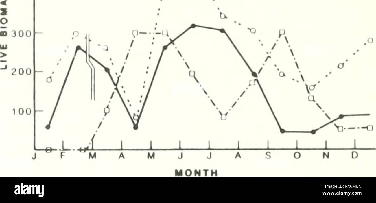 The ecology of delta marshes Stock Photo - Alamy