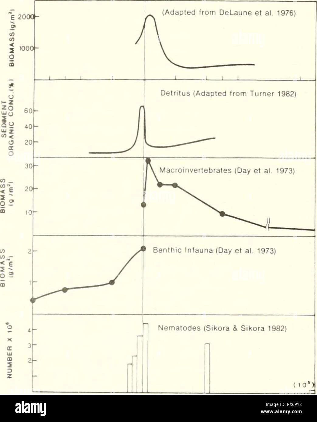 The ecology of delta marshes Stock Photo - Alamy