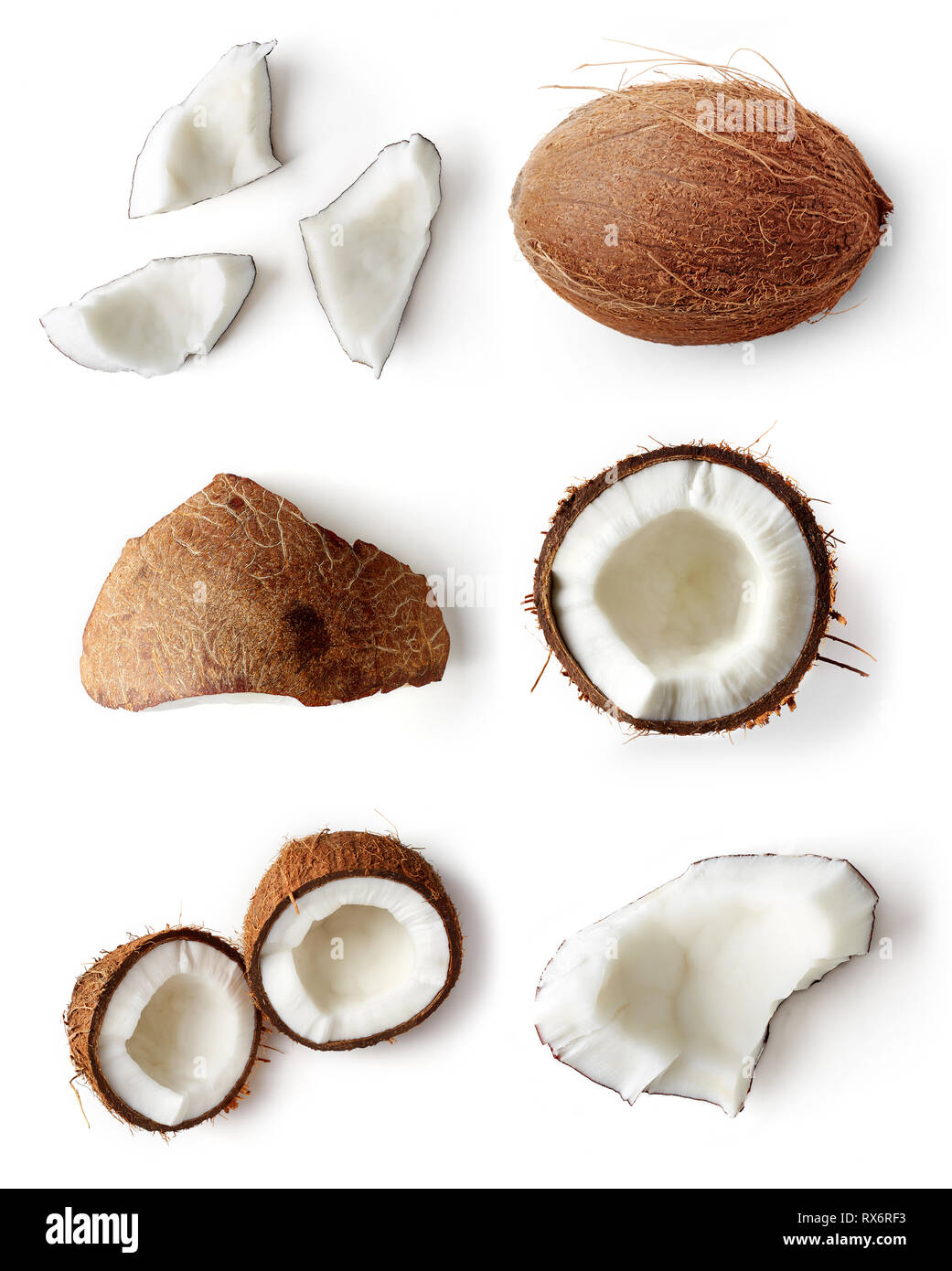 Set of coconut pieces and whole coconut isolated on white background ...