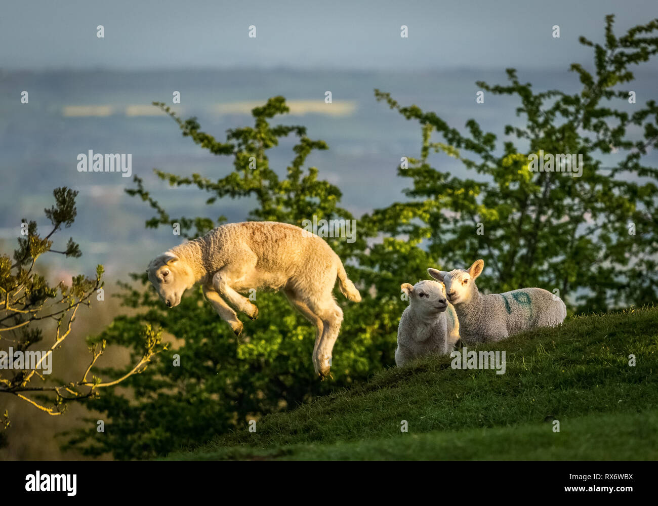 Dover's hill hi-res stock photography and images - Alamy
