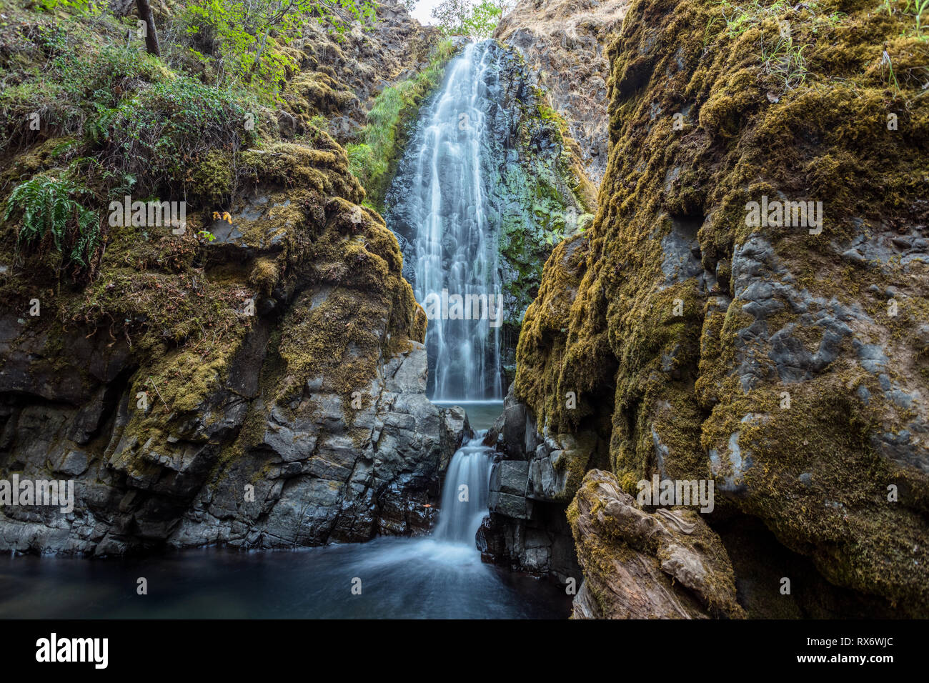 Waterfall full of snakes Stock Photo - Alamy